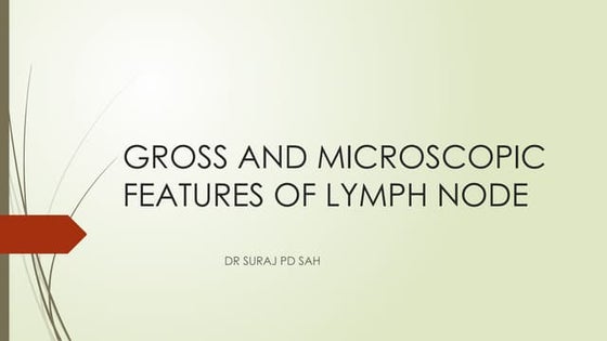 Histology of lymph node(lymph node histology) | PPTX