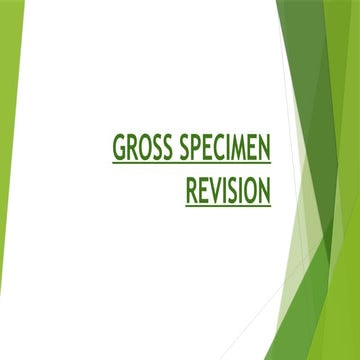 GROSS SPECIMEN REVISION UG pathology.pptx