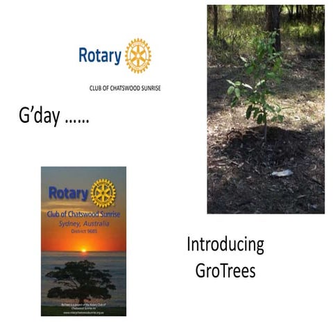 Green brochure | PDF