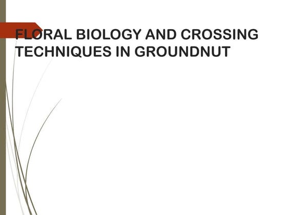 Rouging and its significance | PDF