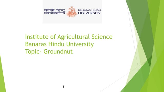 PEANUT-FINAL(2).pptx | Gardening | Home & Garden