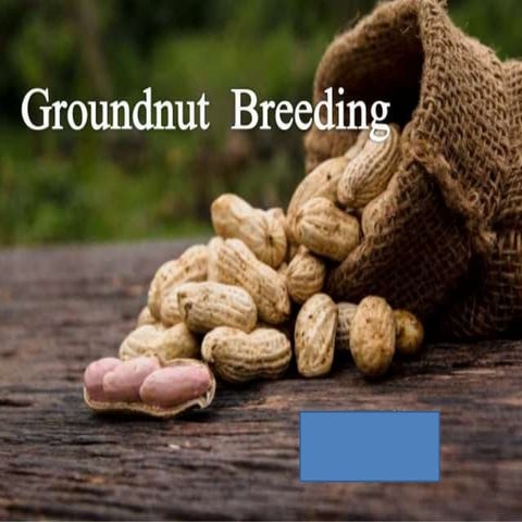 Introduction of Ground nut and their uses | PPT