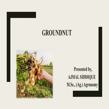 production technology of Groundnut .pptx