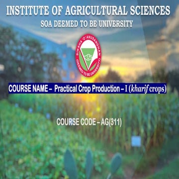 Practical Crop Production of Groundnut(Arachis hypogaea L.) | PPTX