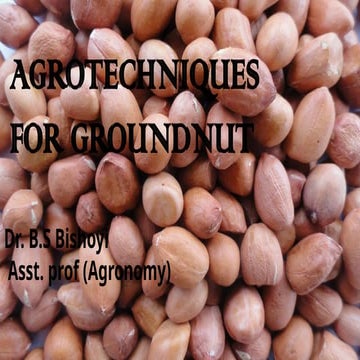 groundnut production and technology.pptx