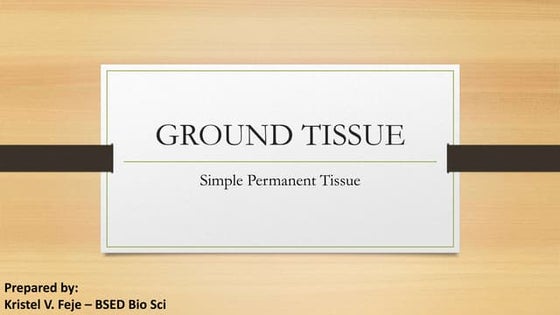 TISSUE- SIMPLE PERMANENT TISSUE | PPTX | Biological Sciences | Science