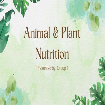 G11 STEM GENERAL BIOLOGY - ANIMAL AND PLANT NUTRITION | PDF