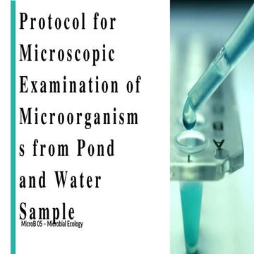 Examination of microorganisms from pond and water sample | PPTX