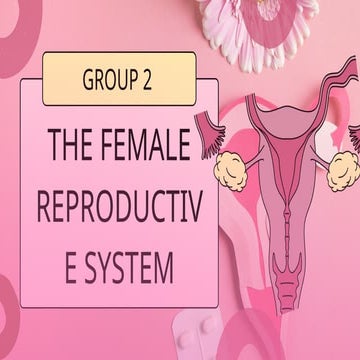 GROUP-2-PPT-YEZZZZZZ:female reproductive system.pptx