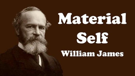Understanding the Self | Unpacking the Self | The material self | PPT