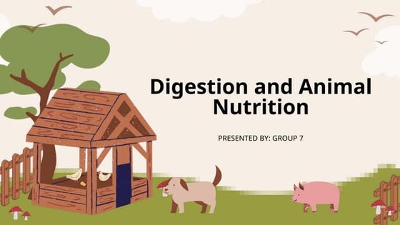 ANIMAL NUTRITION AND FEEDING LECTURE CONTENT | PDF | Agriculture ...