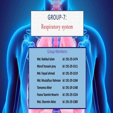 Respiratory System | PPT