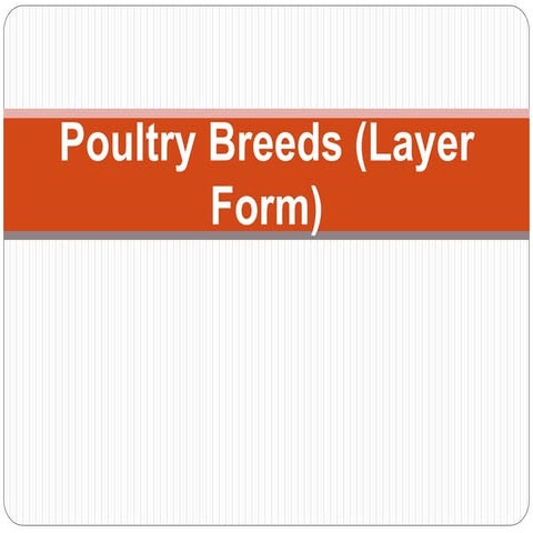 poultry breeding | PPTX