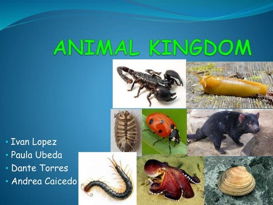 Animals' Presentation G3 | PPT