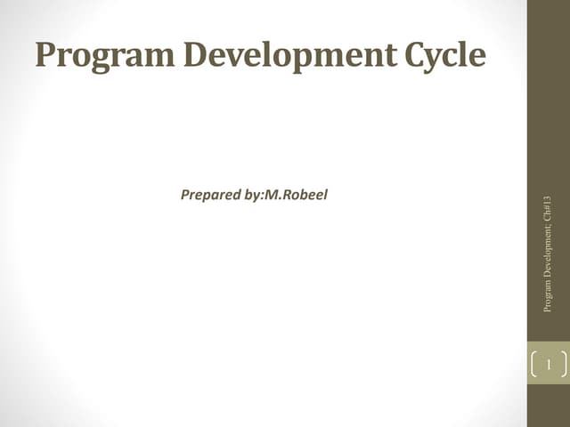 Program development life cycle | PPTX