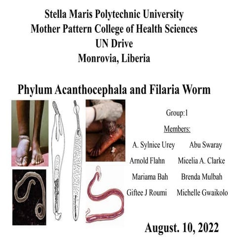 Phylum Acanthocephala and Filaria Worm | PPTX