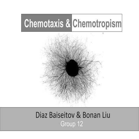 Chemotaxis & Chemotropism | PPT