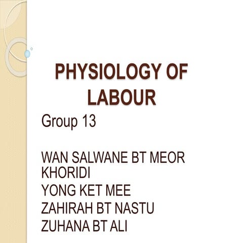 LABOUR 1.1 normal labour ,abnormal labour,purperium | PPTX