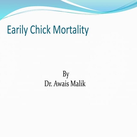 Early chick mortality | PPTX