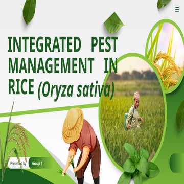 INTEGRATED PEST MANAGEMENT of rice Report Presentation | PPTX
