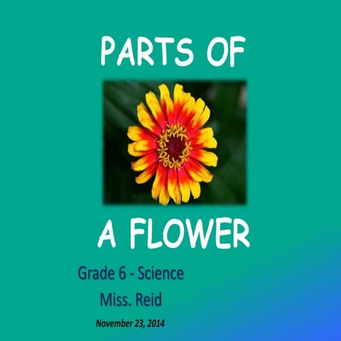 Structure of Flower by Abeeha amir 5 ppt | PPTX