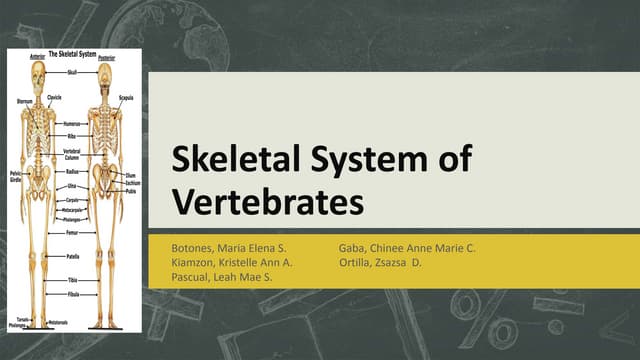 Fish vertebral column | PPTX