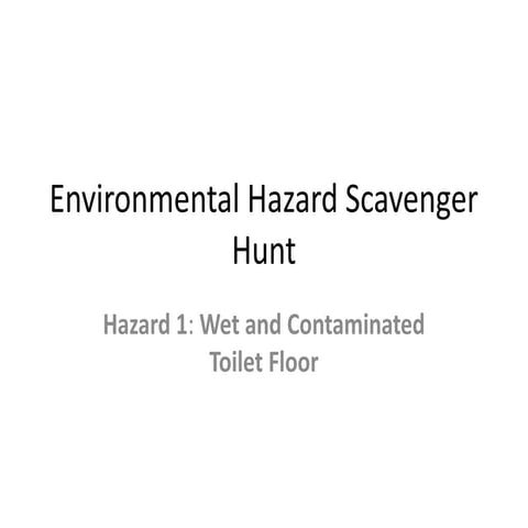 Environmental hazards on community health | PPTX