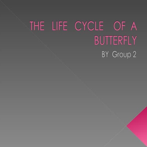 Life Cycle Student A | PPT