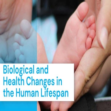 Biological and Health Changes in the Human Lifespan | PPT