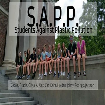 2018 Ambassador Leaders Community Action Plan - S.A.P.P. | PPT