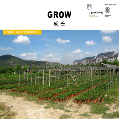 Group 3 grow成长 | PPT