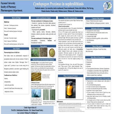 Group 3, Nephro.pptx