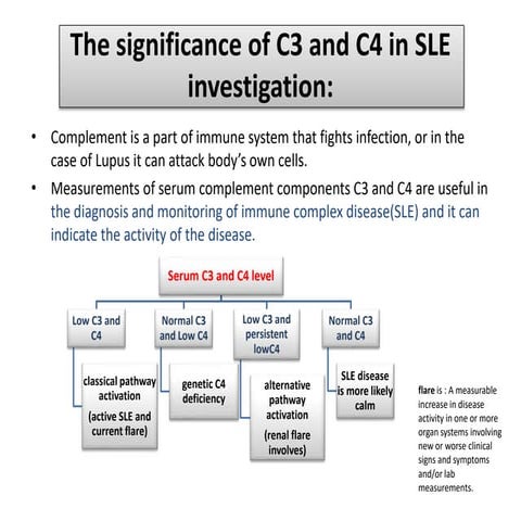 group 3 SLE CASE.pptx