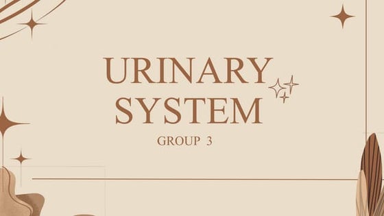 Medical coding (Urinary system)Power point presentations | PDF