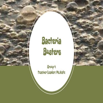 2019 Ambassador Leaders Community Action Plan - Bacteria Busters | PPTX