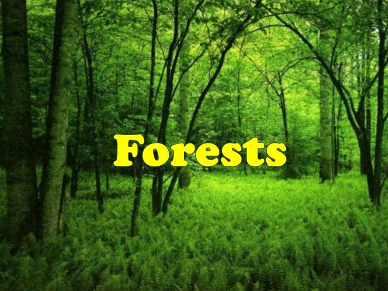 Forest Resources