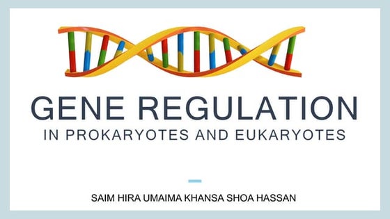 Gene regulation in eukaryotes | PPSX