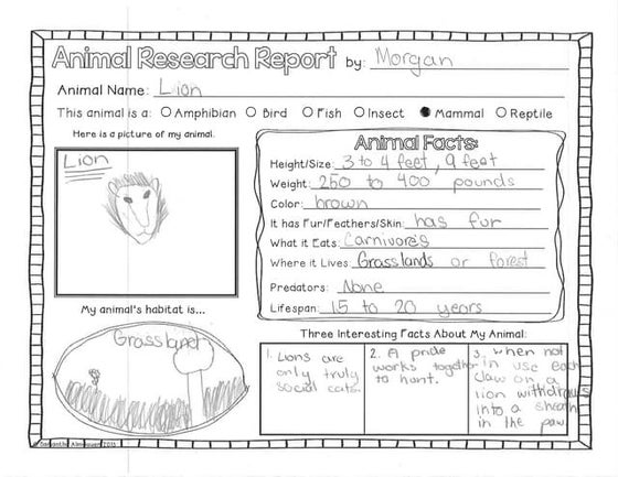 1 zoo animal report 2015 | PPT