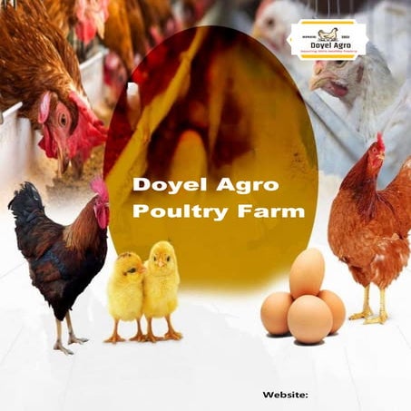 Poultry Farm Business Plan.docx