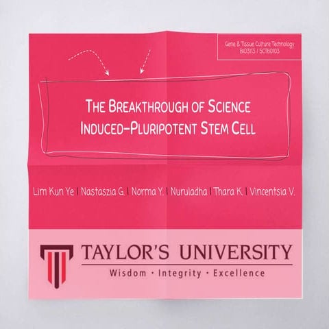 Induced Pluripotent Stem Cell & Cell Dedifferentiation: The ...