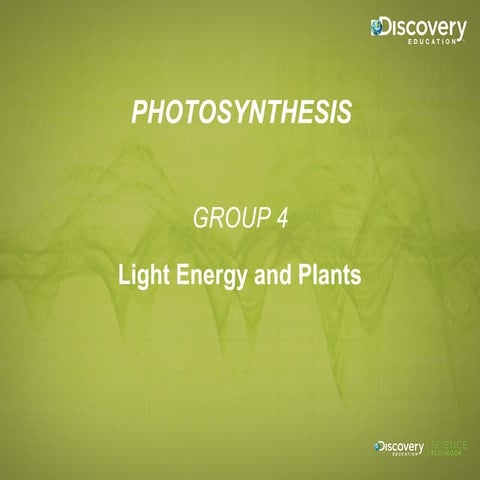 Group 4 photosyntheis Final Presentation-MSP | PPT