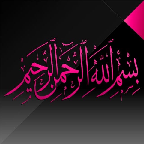 Rupali Polyester Ltd, Sitara Peroxide, Pakistan Paper Product Ltd | PPTX