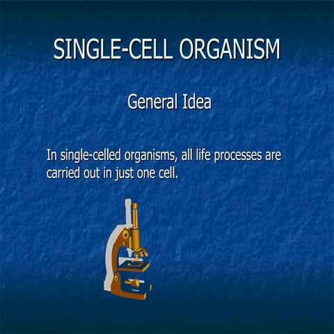 Single-celled Organism | PPT