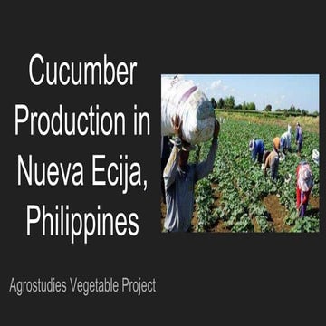 Group 4 Vegetables project Agrostudies.pptx
