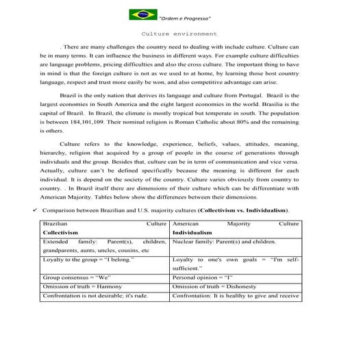 report of brazil | DOCX