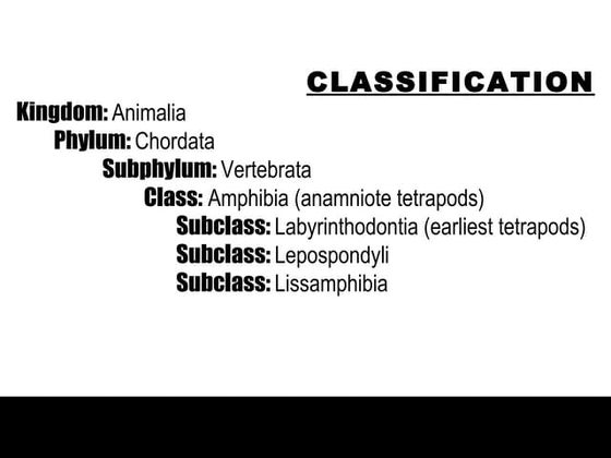 Classification of reptilia | PPT | Reptiles | Pets