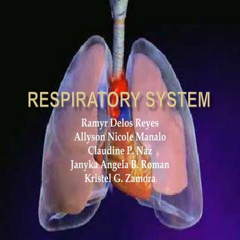 EVOLUTION OF RESPIRATORY SYSTEM | PPTX