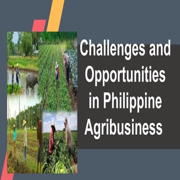 Challenges & Opportunities in Philippine Agribusiness | PPTX