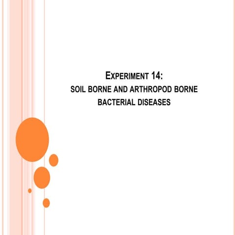 Water borne diseases | PPTX