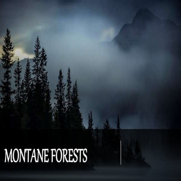 montane forests class 9 geo | PPTX